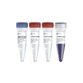 FastPure Gel DNA Extraction Mini Kit – vazymebiotech.hu
