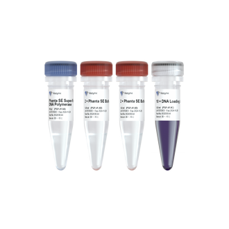 VAHTS DNA Clean Beads – vazymebiotech.hu