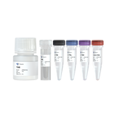 VAHTS DNA Clean Beads – vazymebiotech.hu