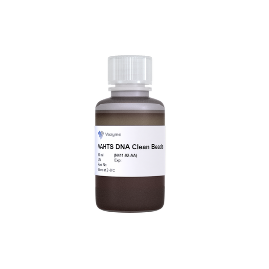 VAHTS DNA Clean Beads – vazymebiotech.hu