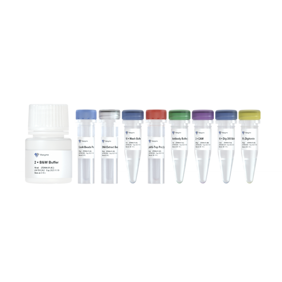 Hyperactive Universal CUT&Tag Assay Kit for Illumina Pro – vazymebiotech.hu